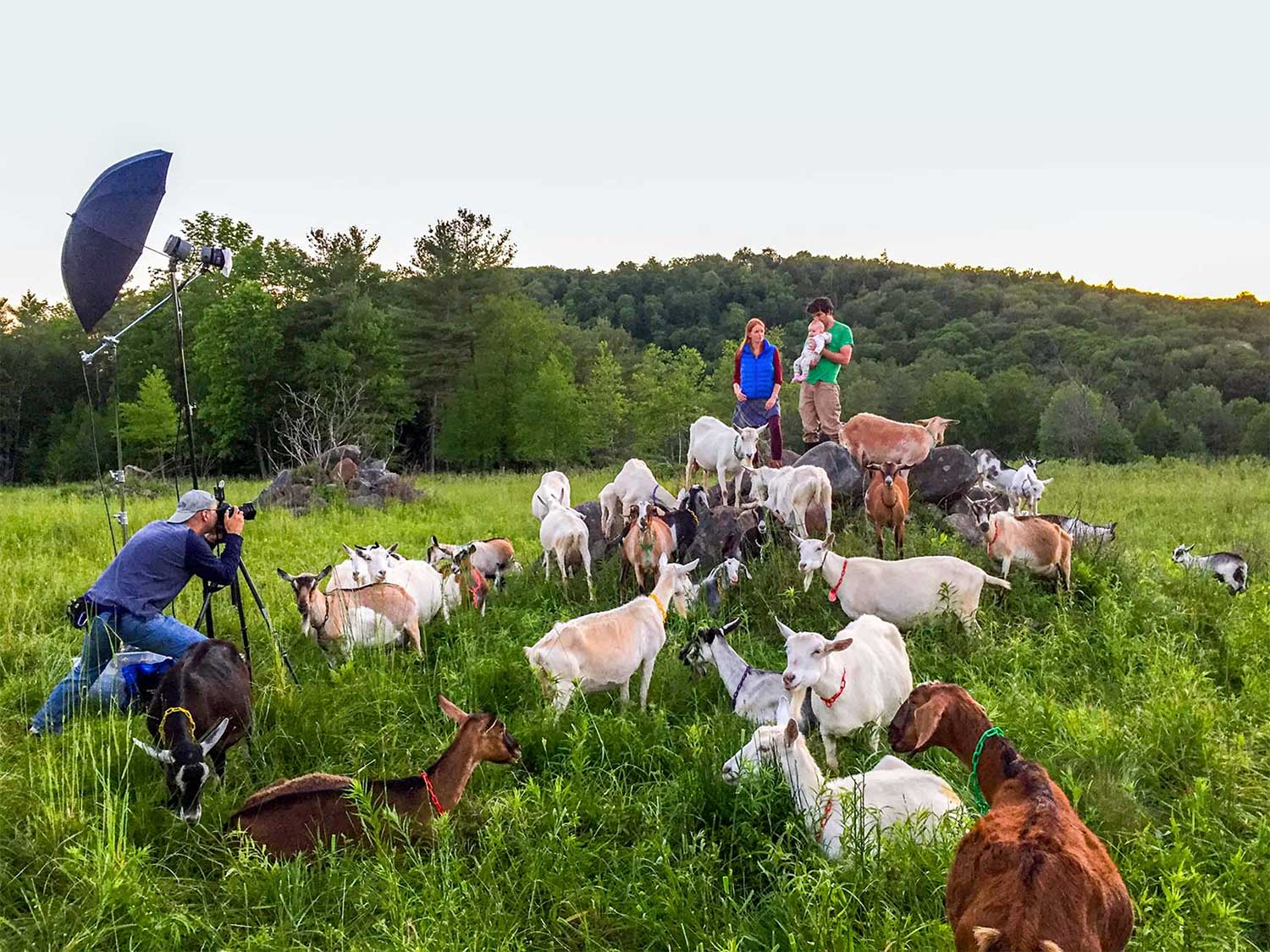 This Journey Takes Work - Ink&Pixel